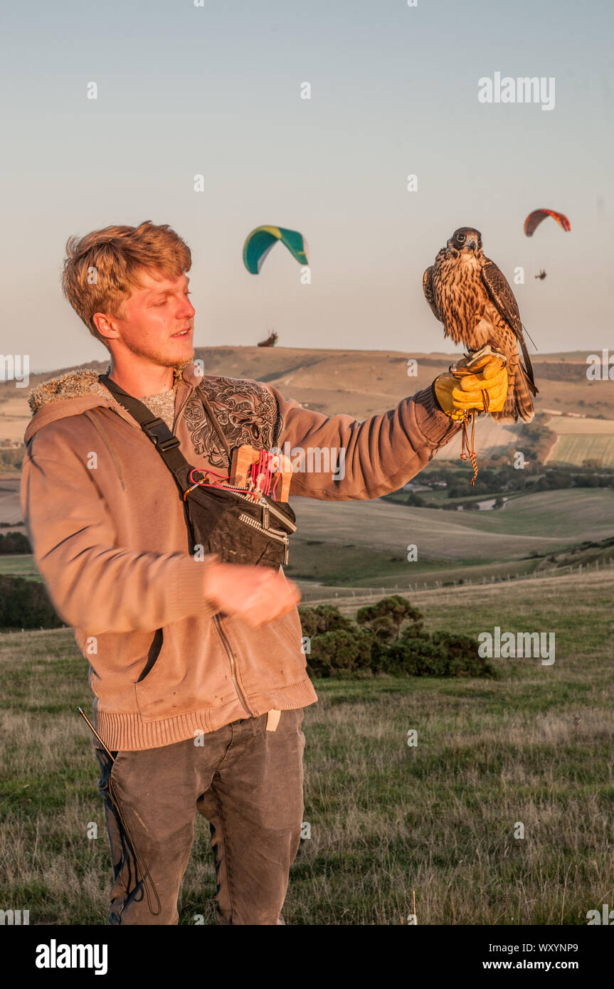 Alciston, East Sussex, UK.18 September 2019. Falconer Tiger Cox flying ...