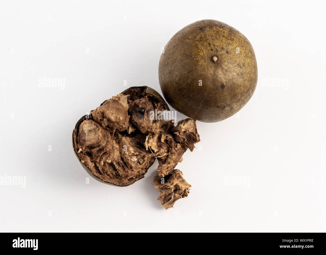 dried monk fruit - luo han guo on white background Stock Photo - Alamy