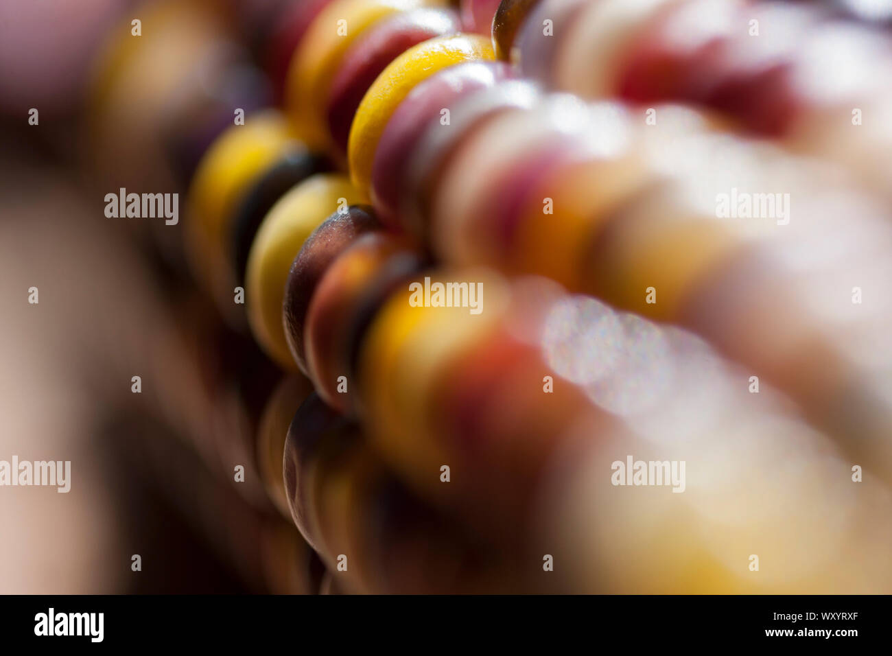 Indian corn abstract Stock Photo - Alamy