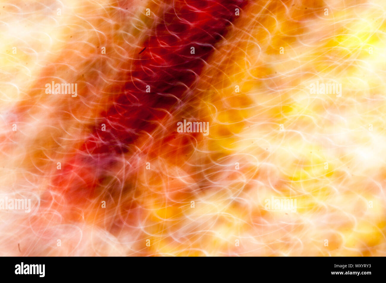 Indian corn abstract Stock Photo - Alamy