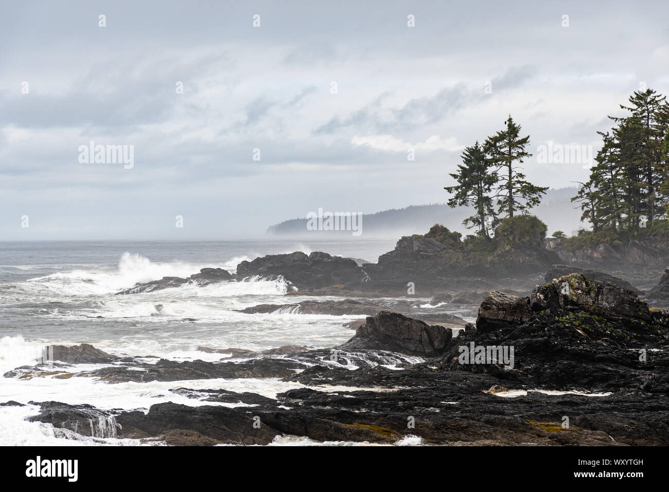 Botanical Beach, Vancouver Island, Canada Stock Photo - Alamy
