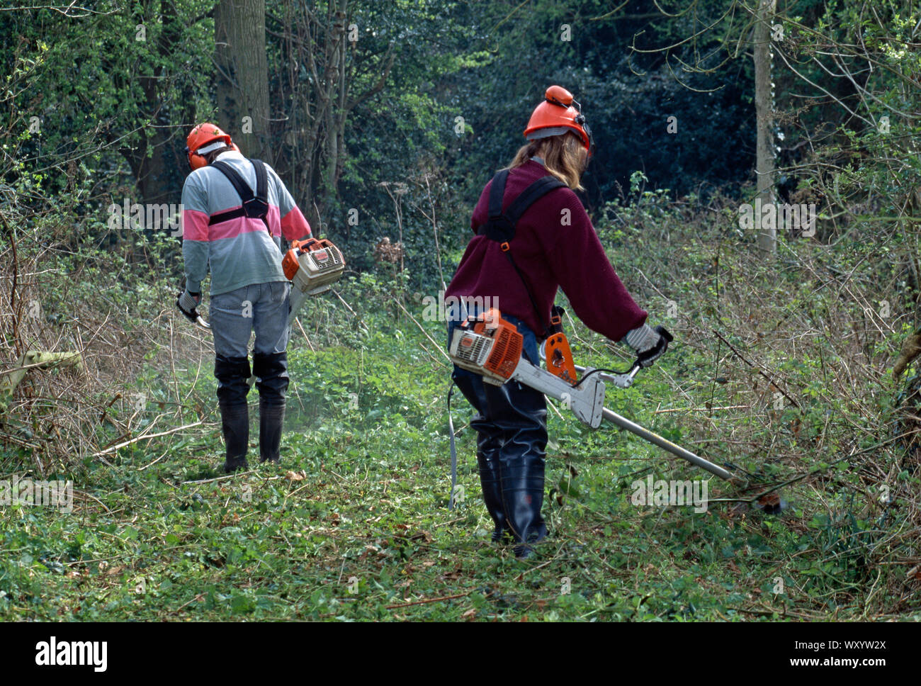 Strimmers and wildlife hi-res stock photography and images - Alamy