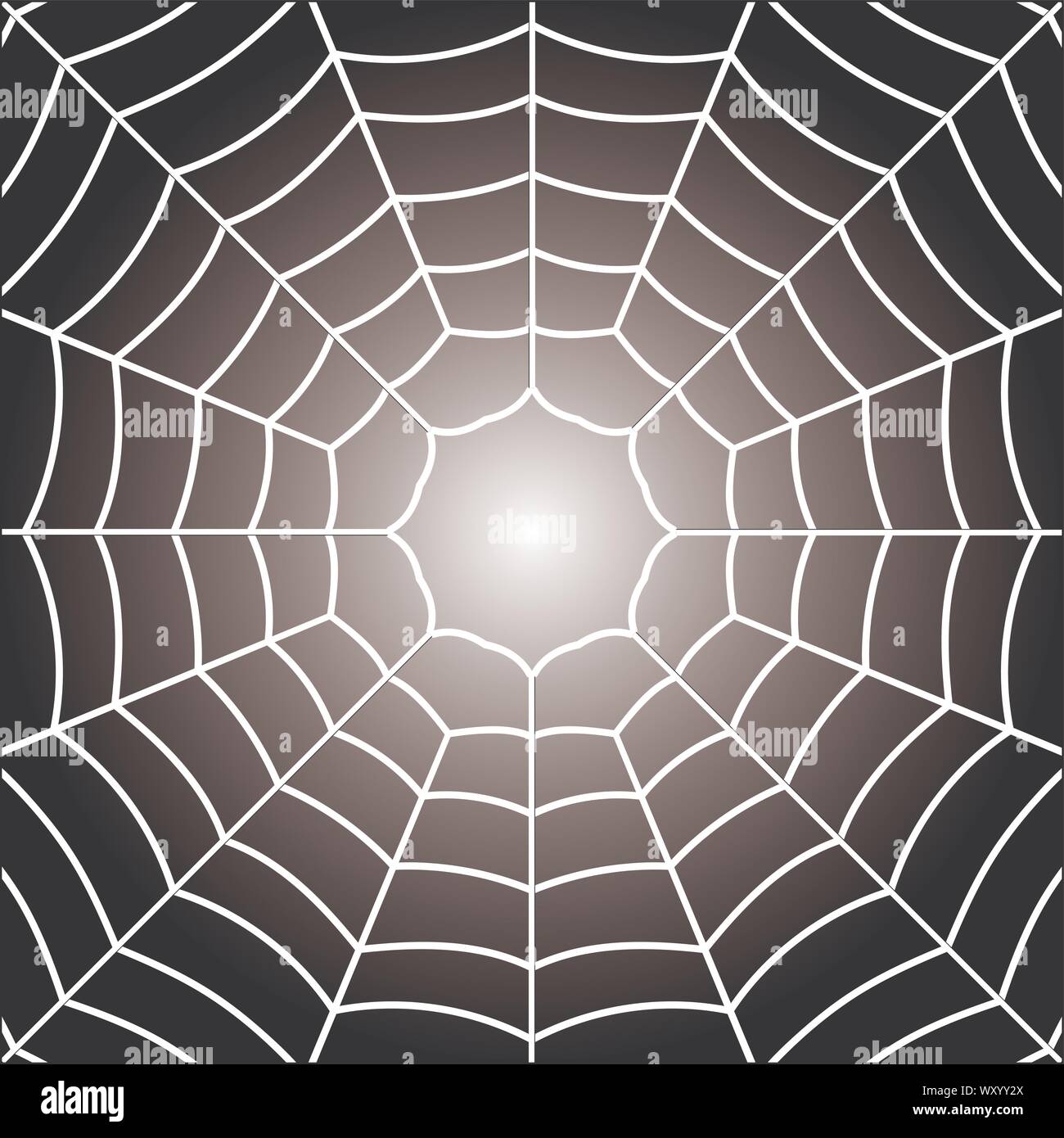 Vector illustration eps10 of spiders web Stock Vector Image & Art - Alamy