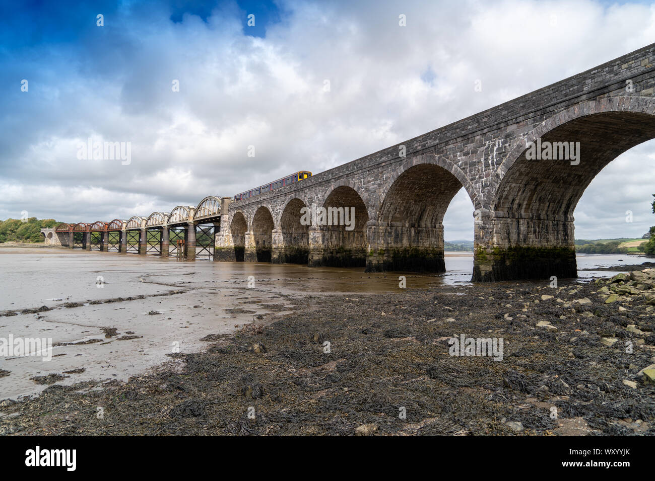 Rail Bridge over the River Tavy Devon Dartmoor Plymouth for the Tamar ...