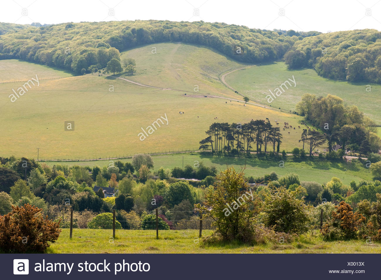 Kent Countryside Stock Photos & Kent Countryside Stock Images - Alamy
