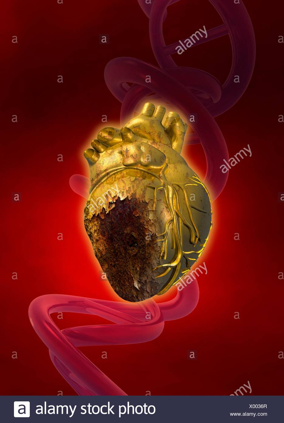 Heart Damaged Stock Photos & Heart Damaged Stock Images - Alamy