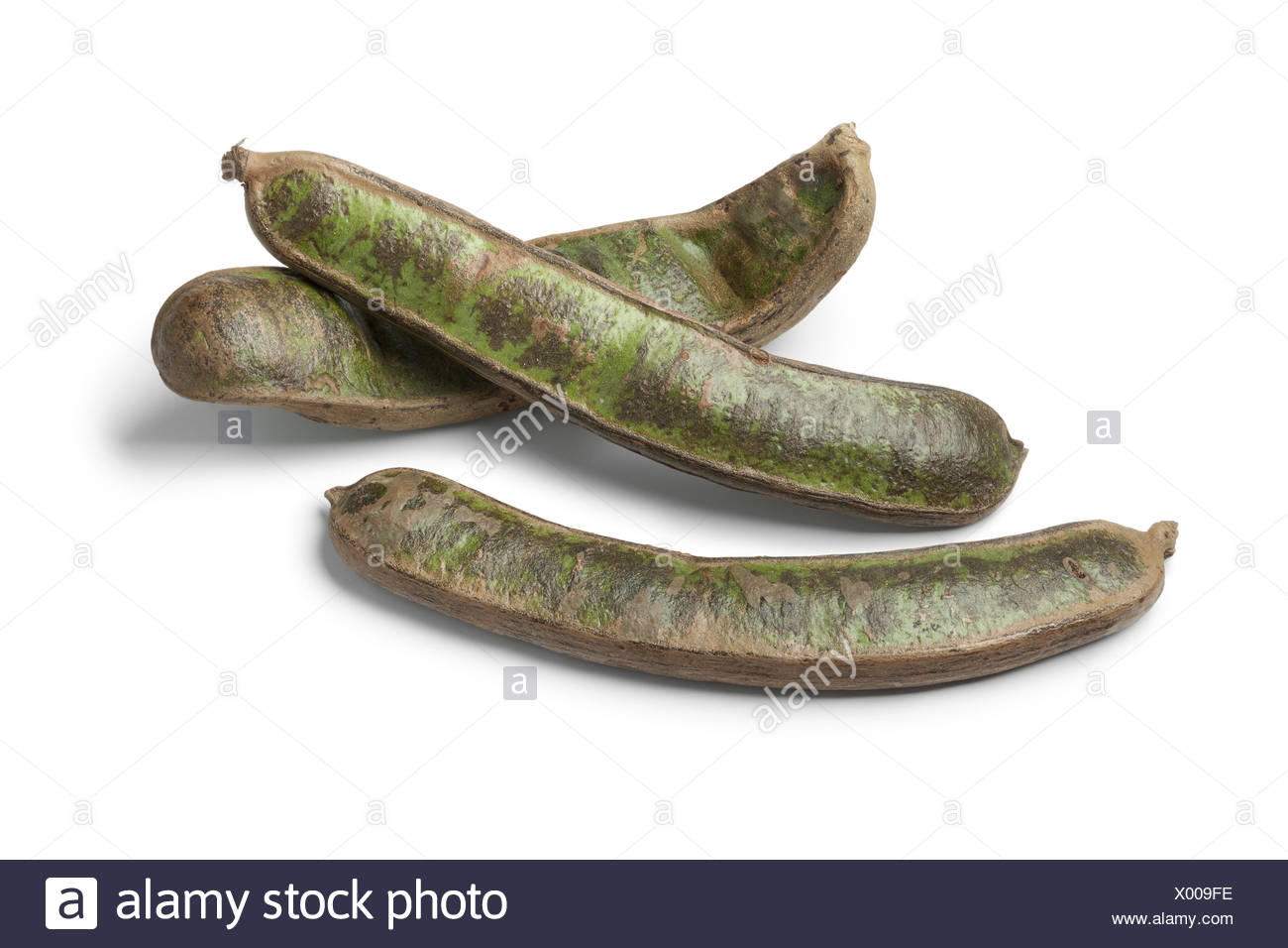 Inga Feuillei Stock Photos & Inga Feuillei Stock Images - Alamy