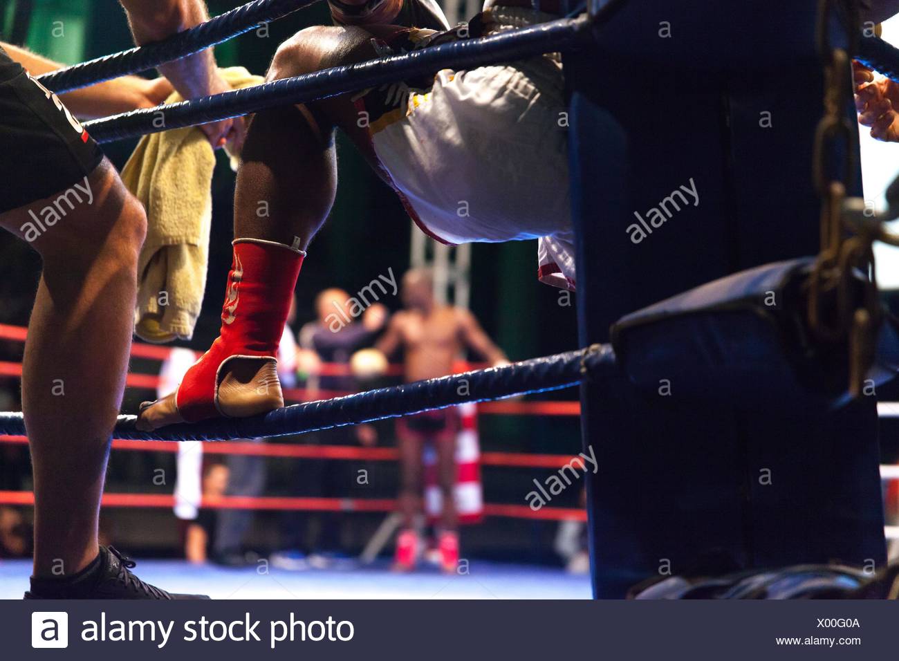 Professional Versus Amateur High Resolution Stock Photography and ...