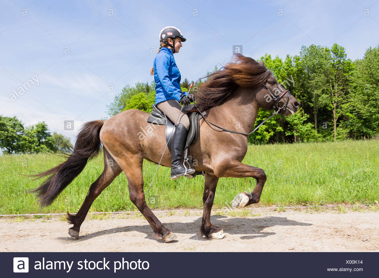 Girl Riding A Pony High Resolution Stock Photography and Images - Alamy