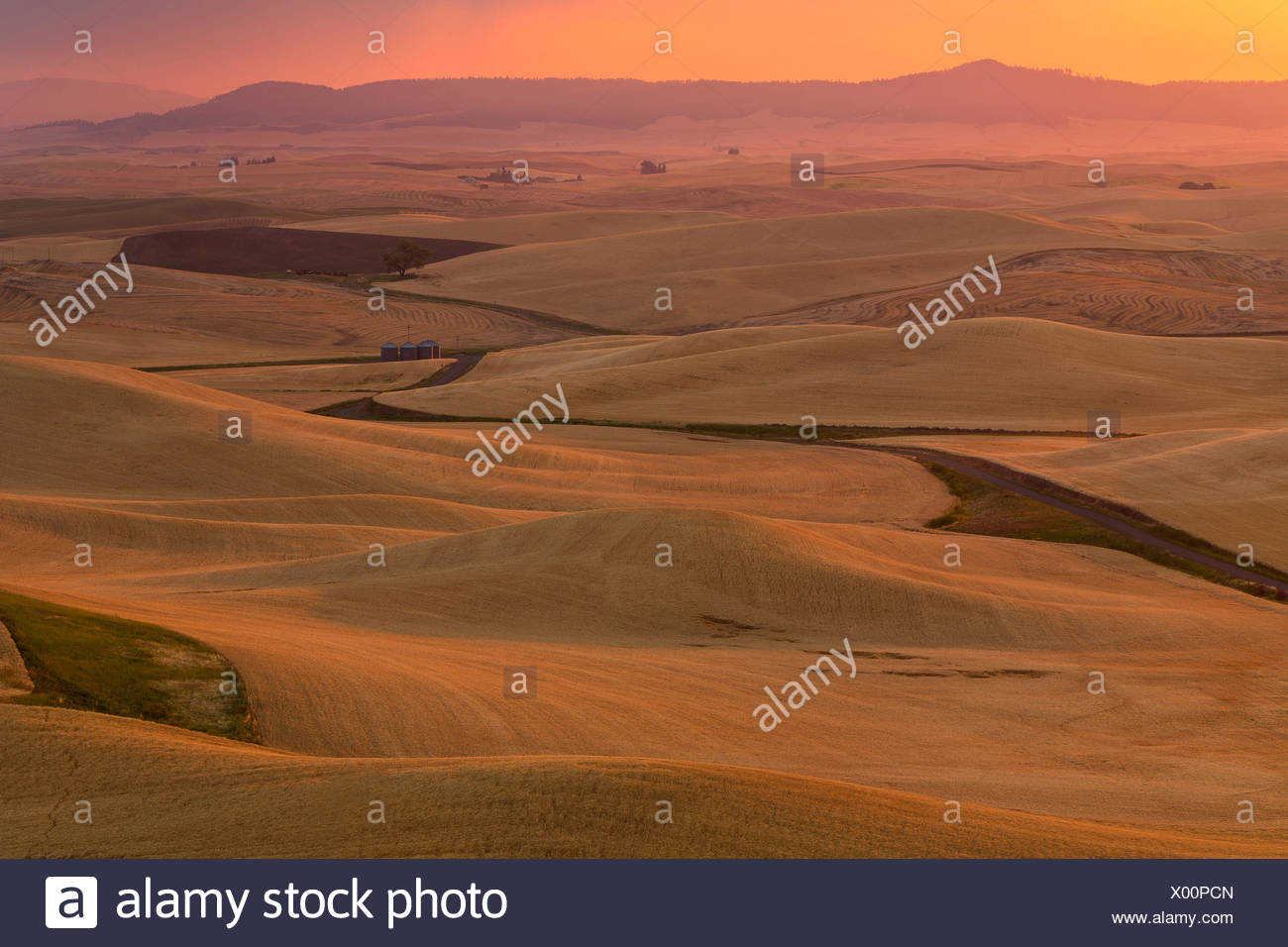 Wheat Farm Palouse High Resolution Stock Photography and Images - Alamy