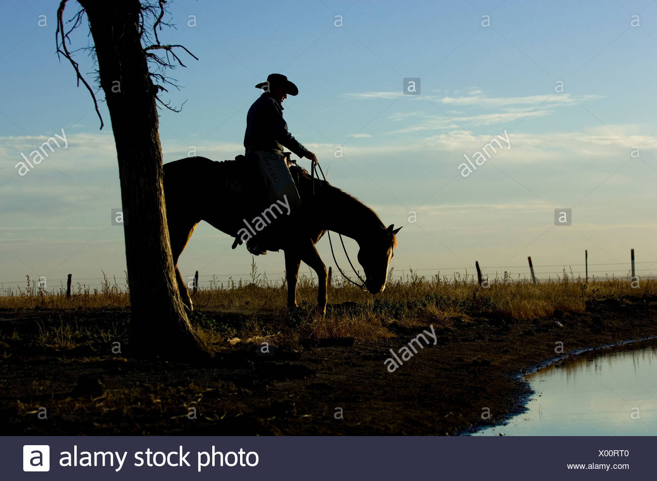 Cowboy Chaps Stock Photos & Cowboy Chaps Stock Images - Alamy