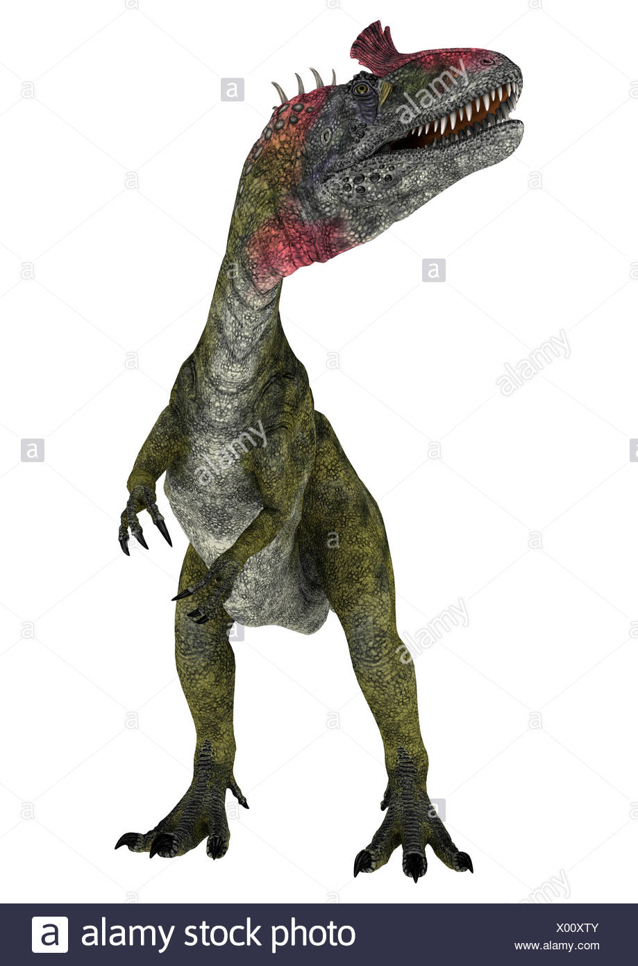 Carnosauria High Resolution Stock Photography and Images - Alamy