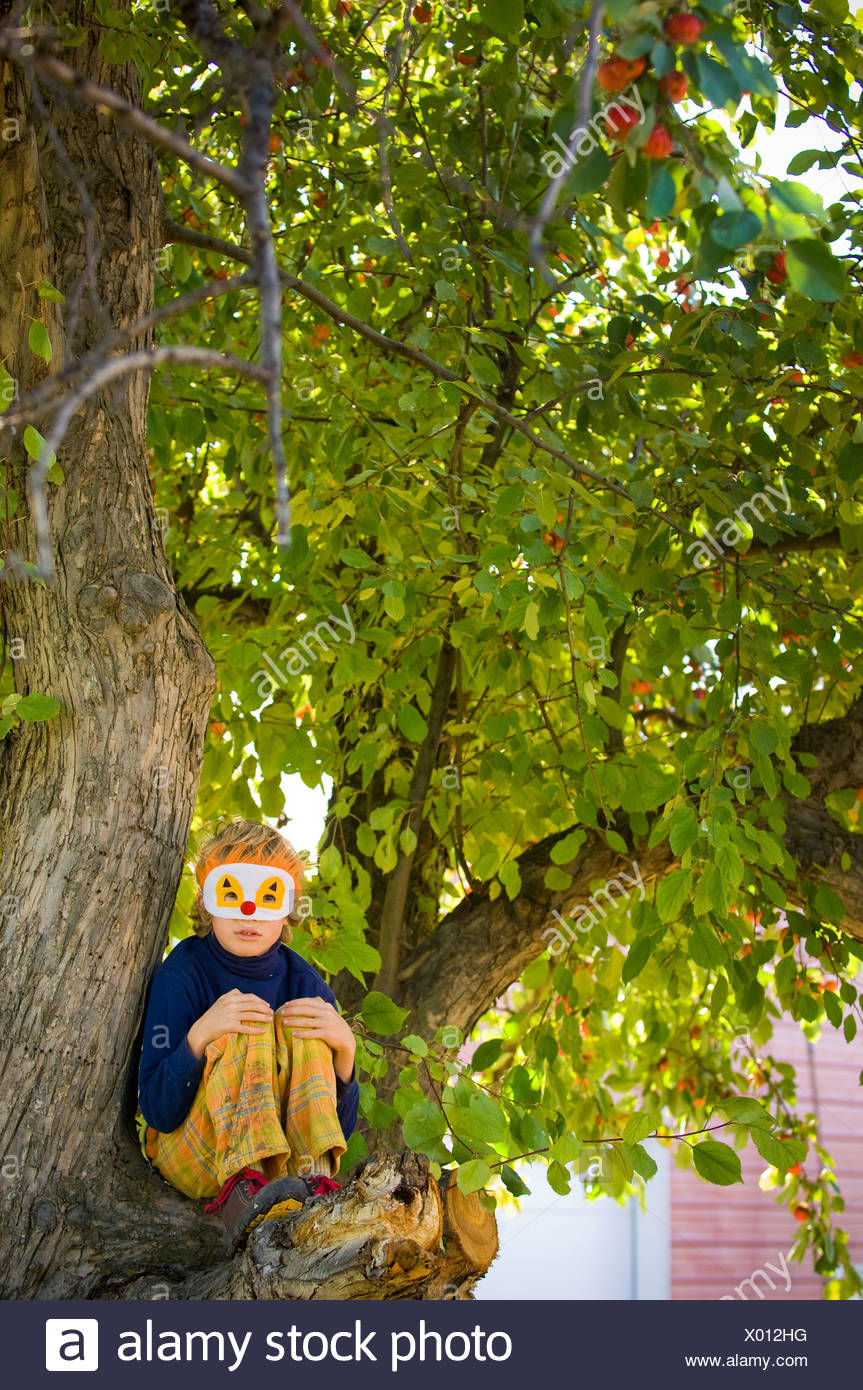 Sitting Clown High Resolution Stock Photography and Images - Alamy