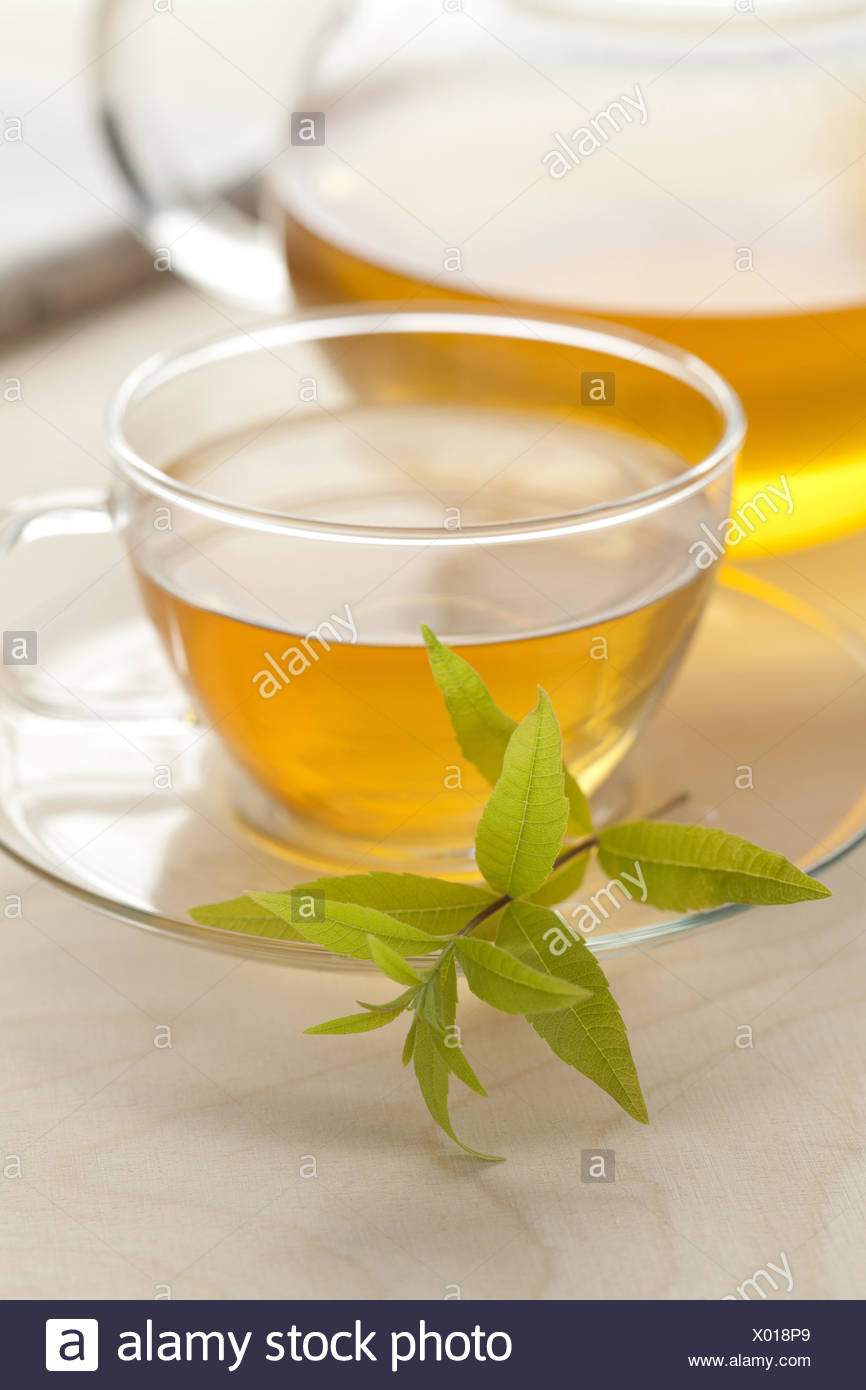 Vervain Tea High Resolution Stock Photography and Images - Alamy