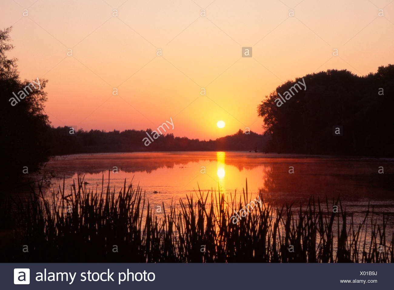 Floodplain Landscape High Resolution Stock Photography and Images - Alamy