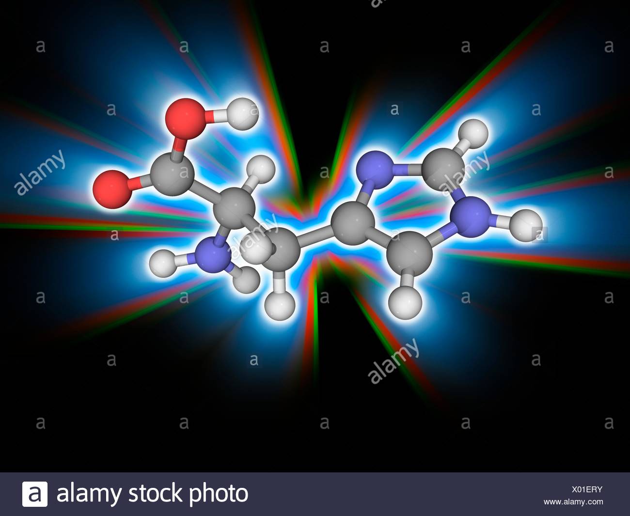 Matter Zoology High Resolution Stock Photography and Images - Alamy