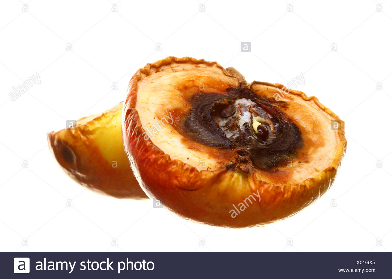 Half Decomposed High Resolution Stock Photography and Images - Alamy