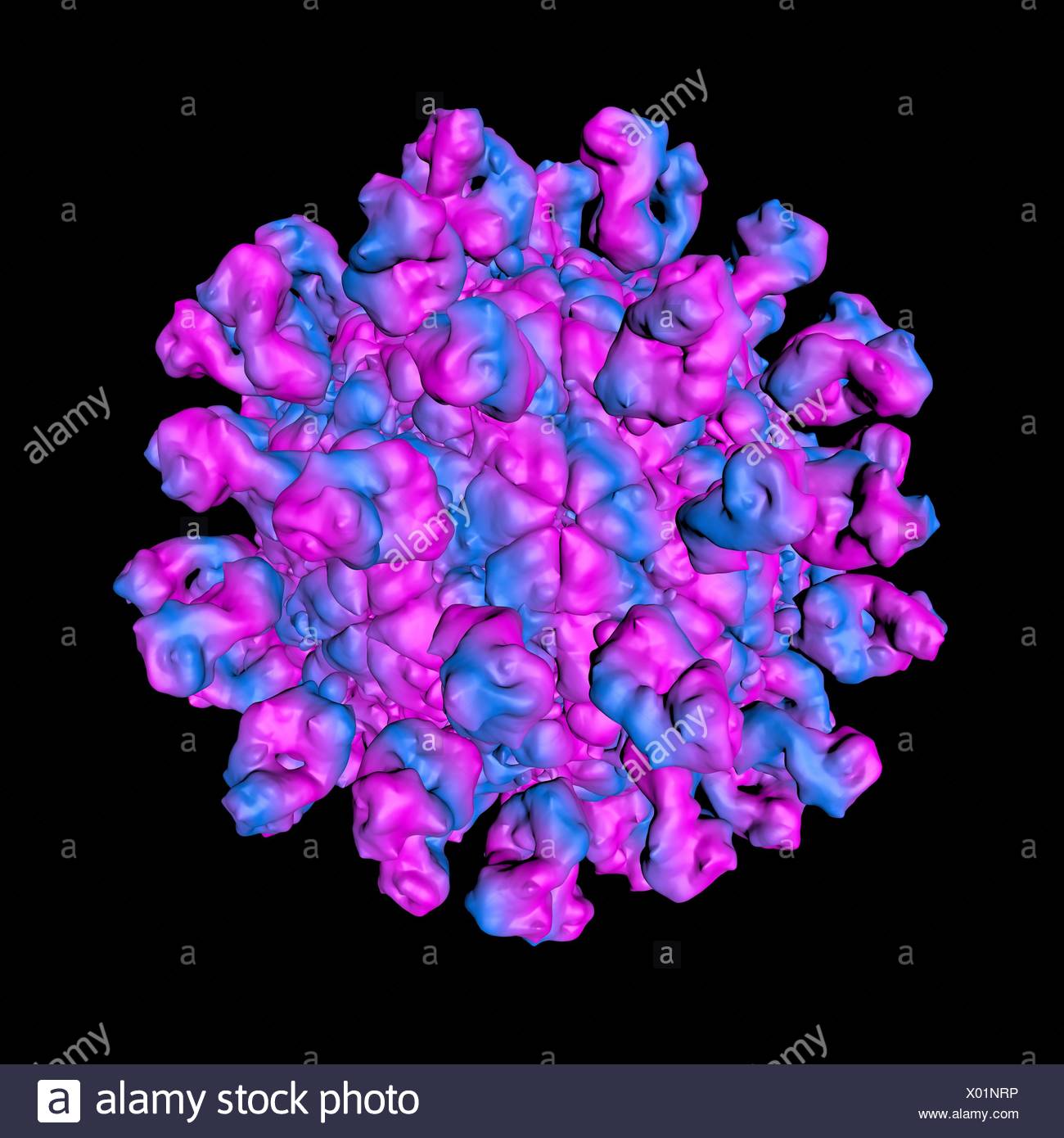 Foot And Mouth Virus High Resolution Stock Photography and Images - Alamy