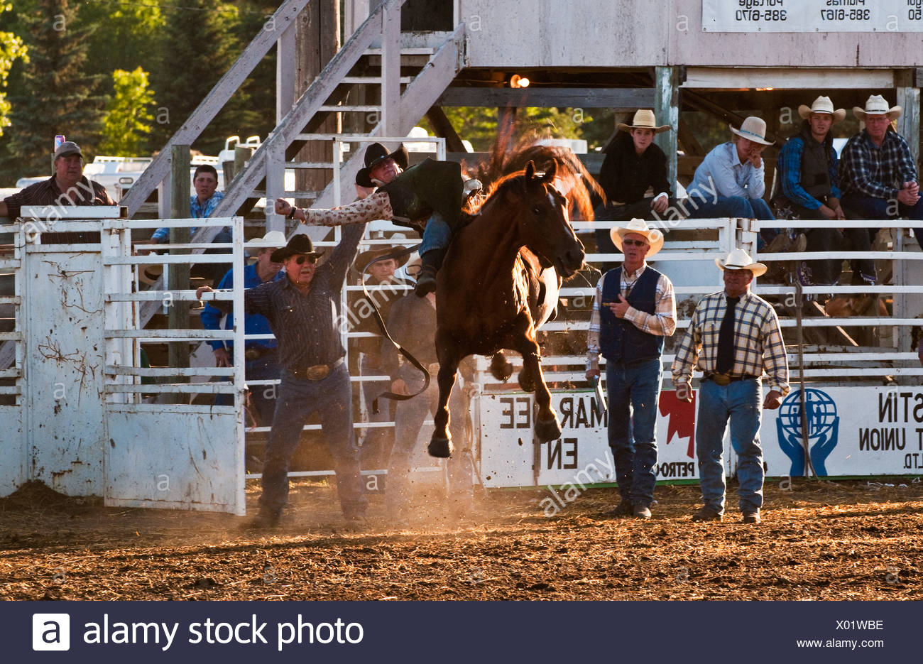 Saddle Bronc Riding High Resolution Stock Photography and Images - Alamy