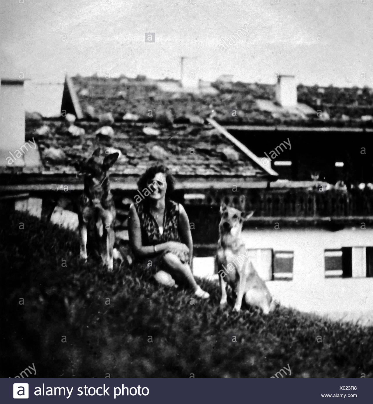 Adolf Hitler With German Shepherd High Resolution Stock Photography and ...