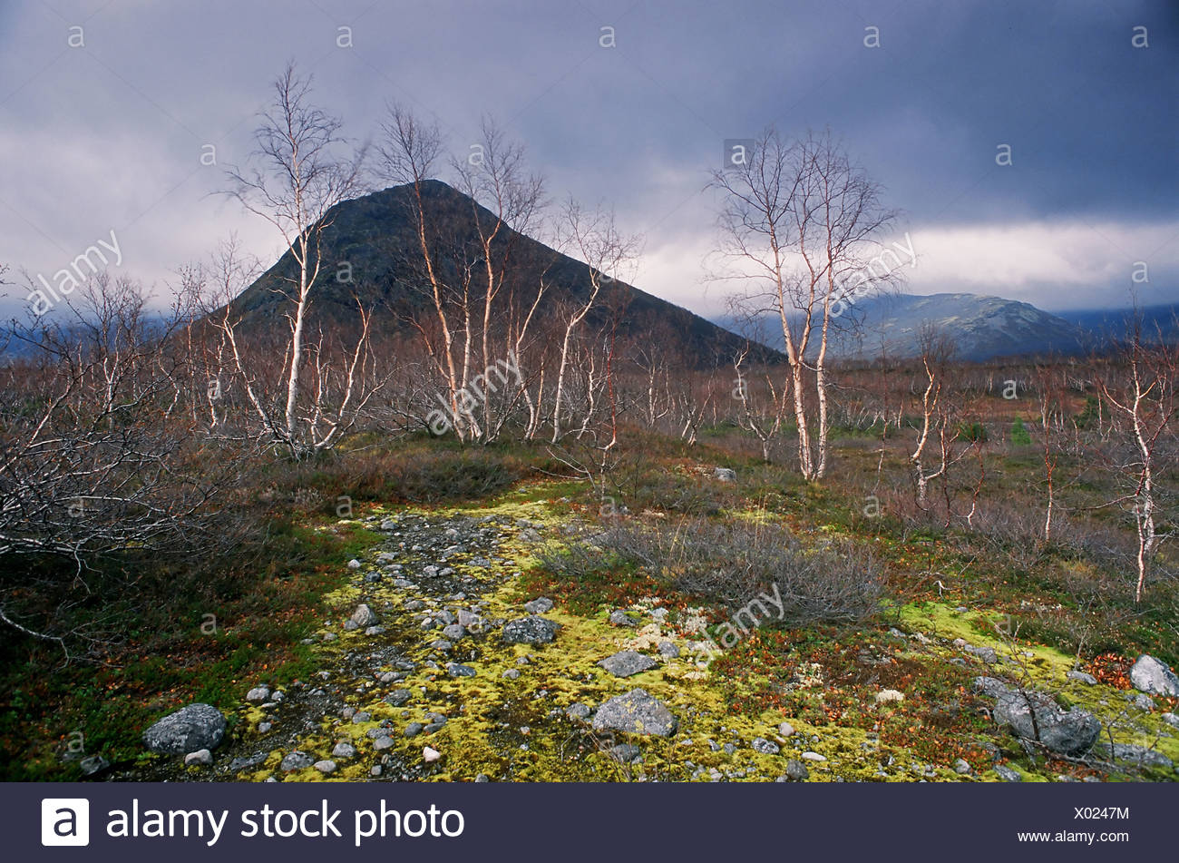 Khibiny Mountains High Resolution Stock Photography and Images - Alamy