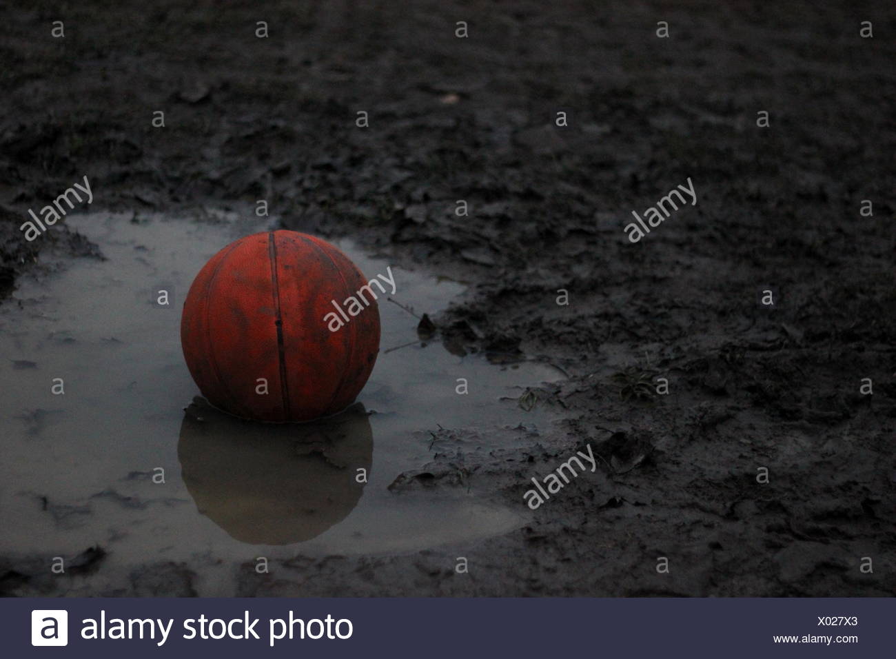 Muddy Field Stock Photos & Muddy Field Stock Images - Alamy