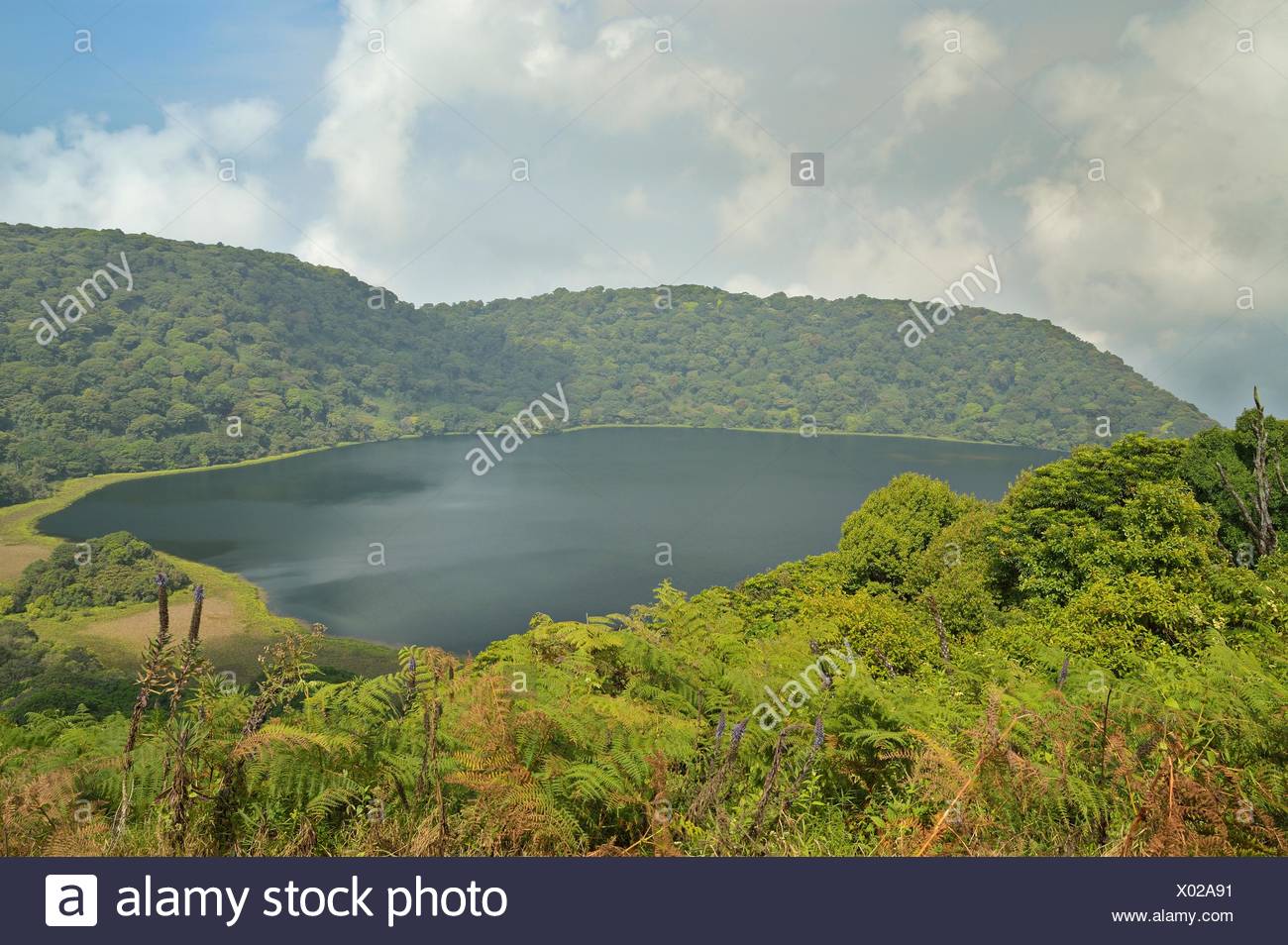 Guinea Ecuatorial High Resolution Stock Photography and Images - Alamy