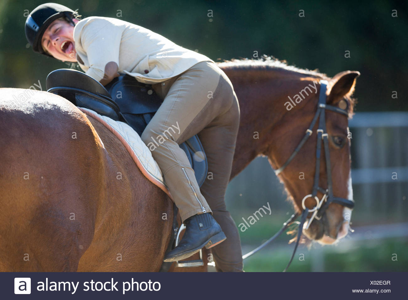 Rider Mounting Horse High Resolution Stock Photography and Images - Alamy