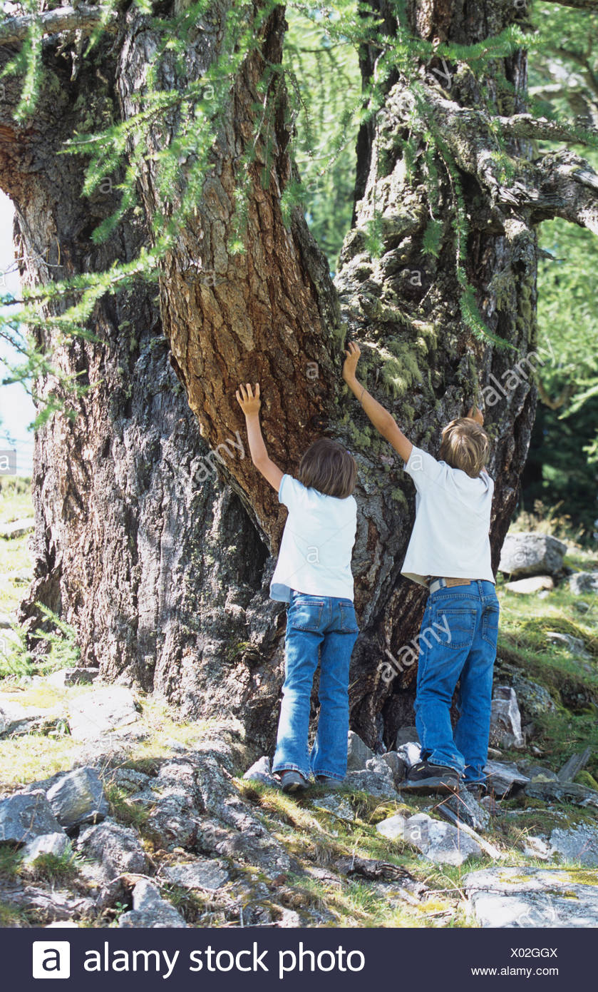 Rf 5 Stock Photos & Rf 5 Stock Images - Alamy