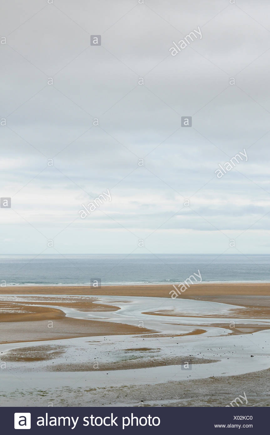 Marshy Area Stock Photos & Marshy Area Stock Images - Alamy