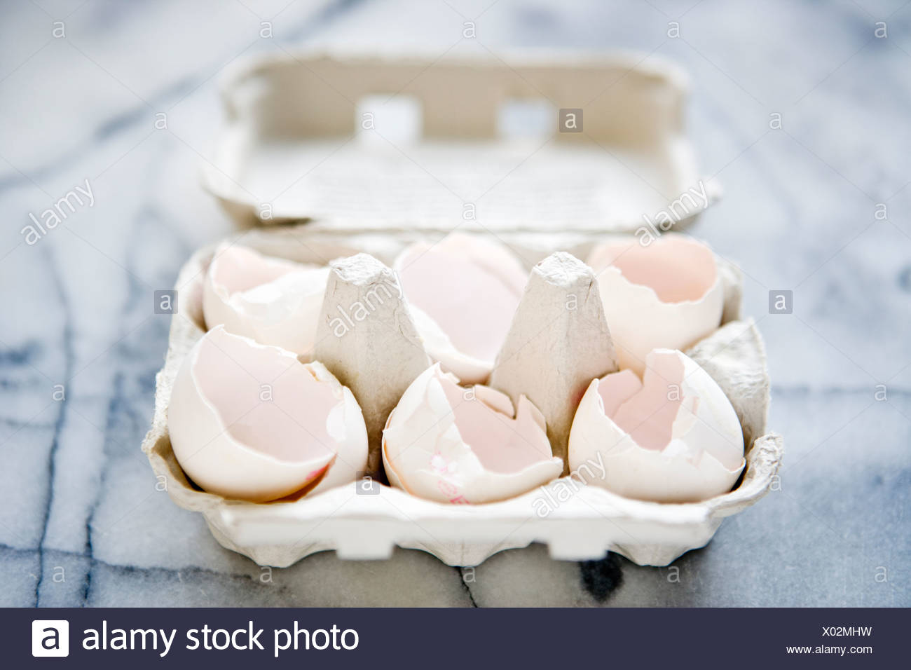 White Shells High Resolution Stock Photography and Images - Alamy