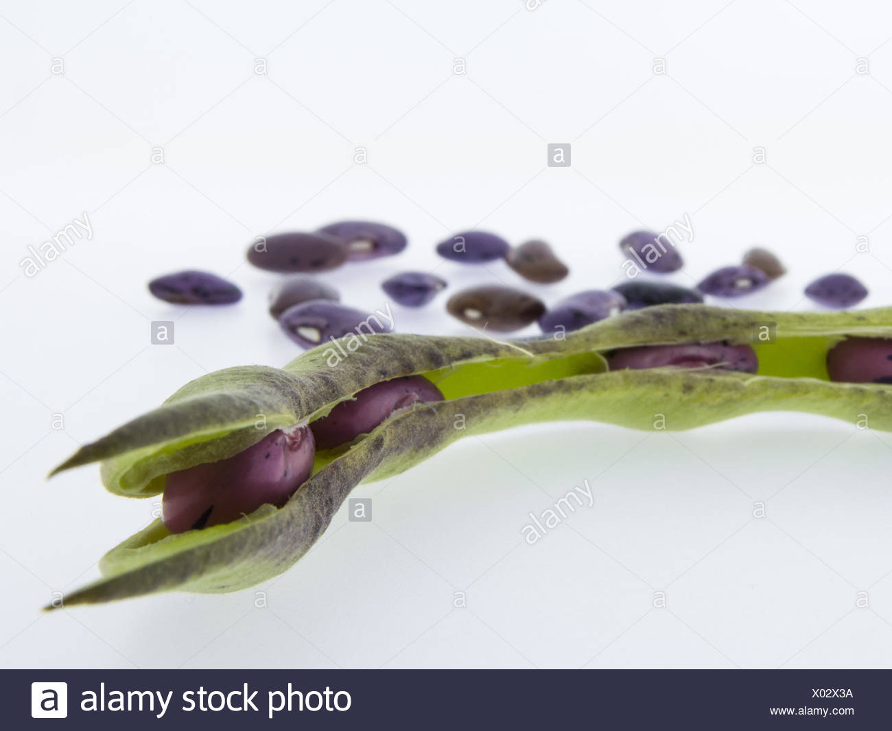 Fire Beans High Resolution Stock Photography and Images - Alamy