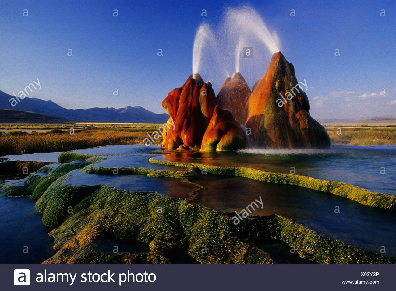 Fly Geyser Nevada High Resolution Stock Photography and Images - Alamy