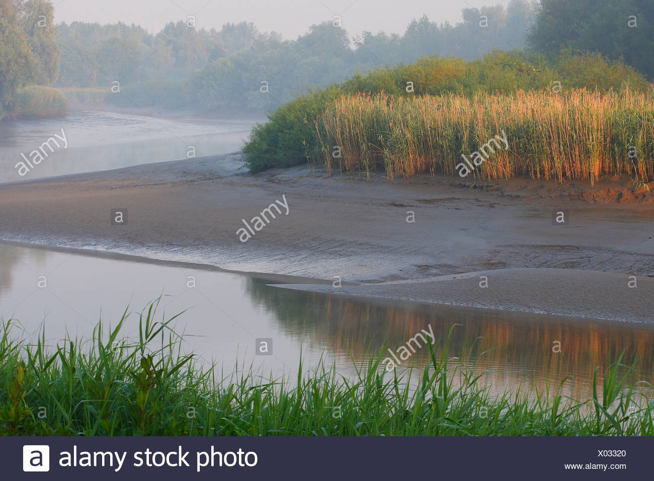 Muddy Riverbanks High Resolution Stock Photography and Images - Alamy