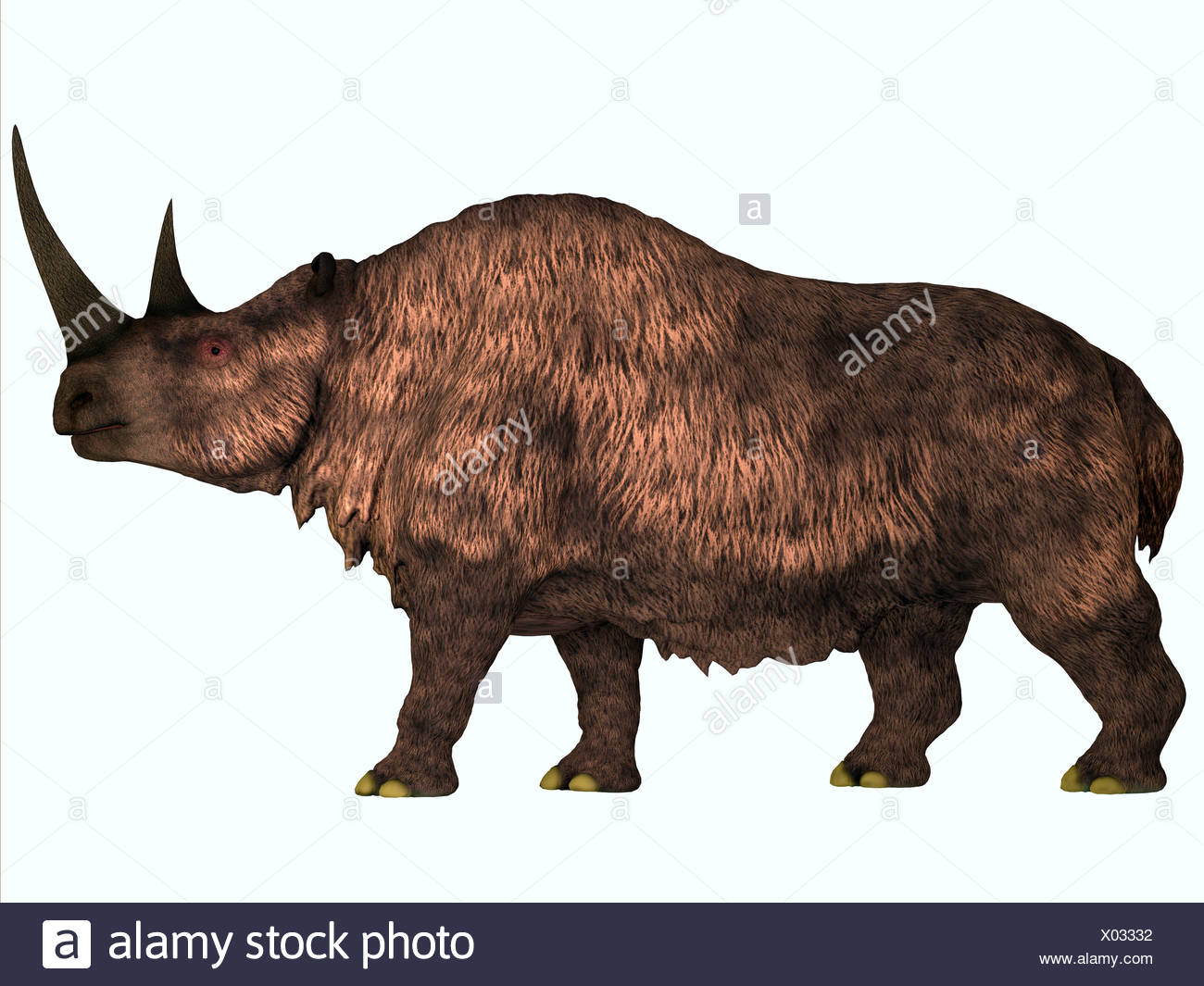 Woolly Rhinoceros High Resolution Stock Photography and Images - Alamy