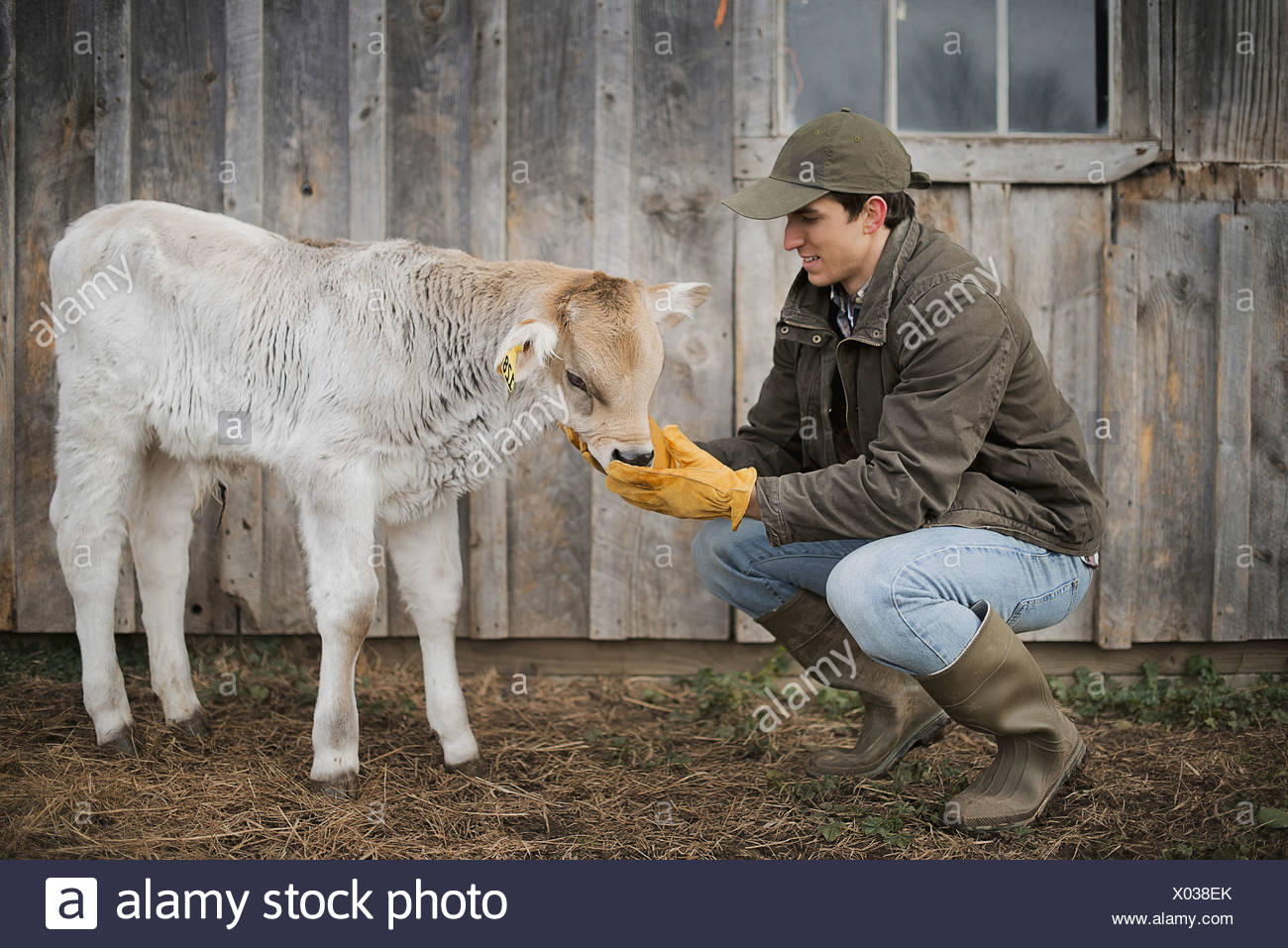 Even Working High Resolution Stock Photography and Images - Alamy