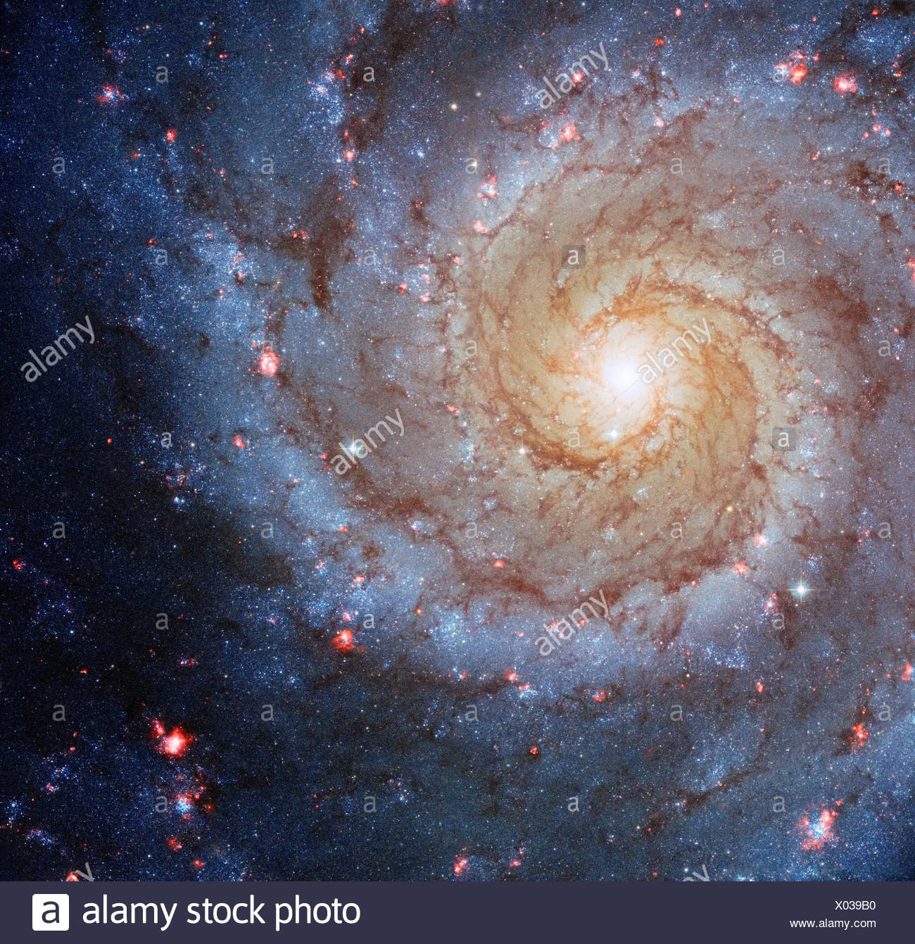 M74 Stock Photos & M74 Stock Images - Alamy