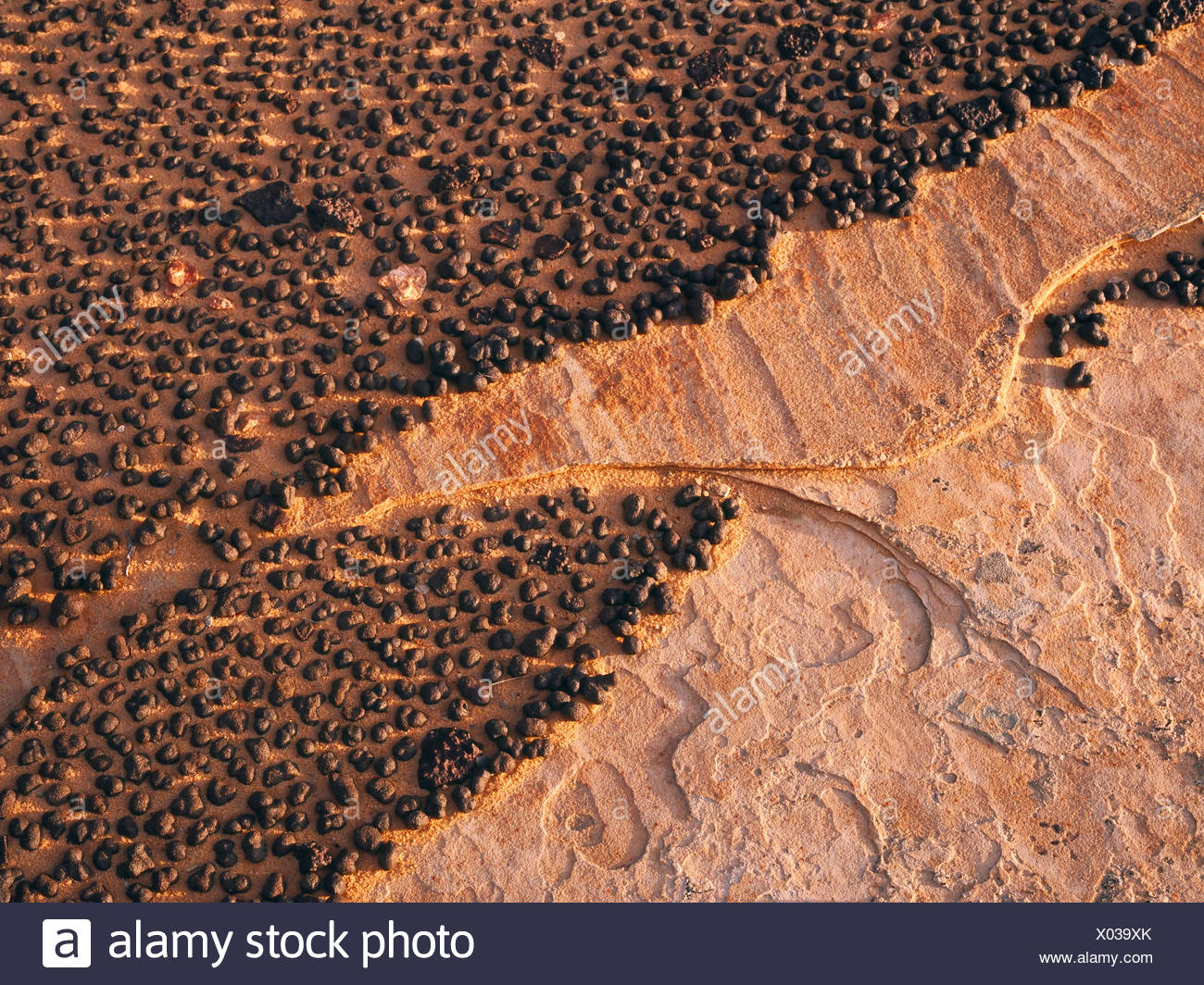 Iron Concretions High Resolution Stock Photography and Images - Alamy