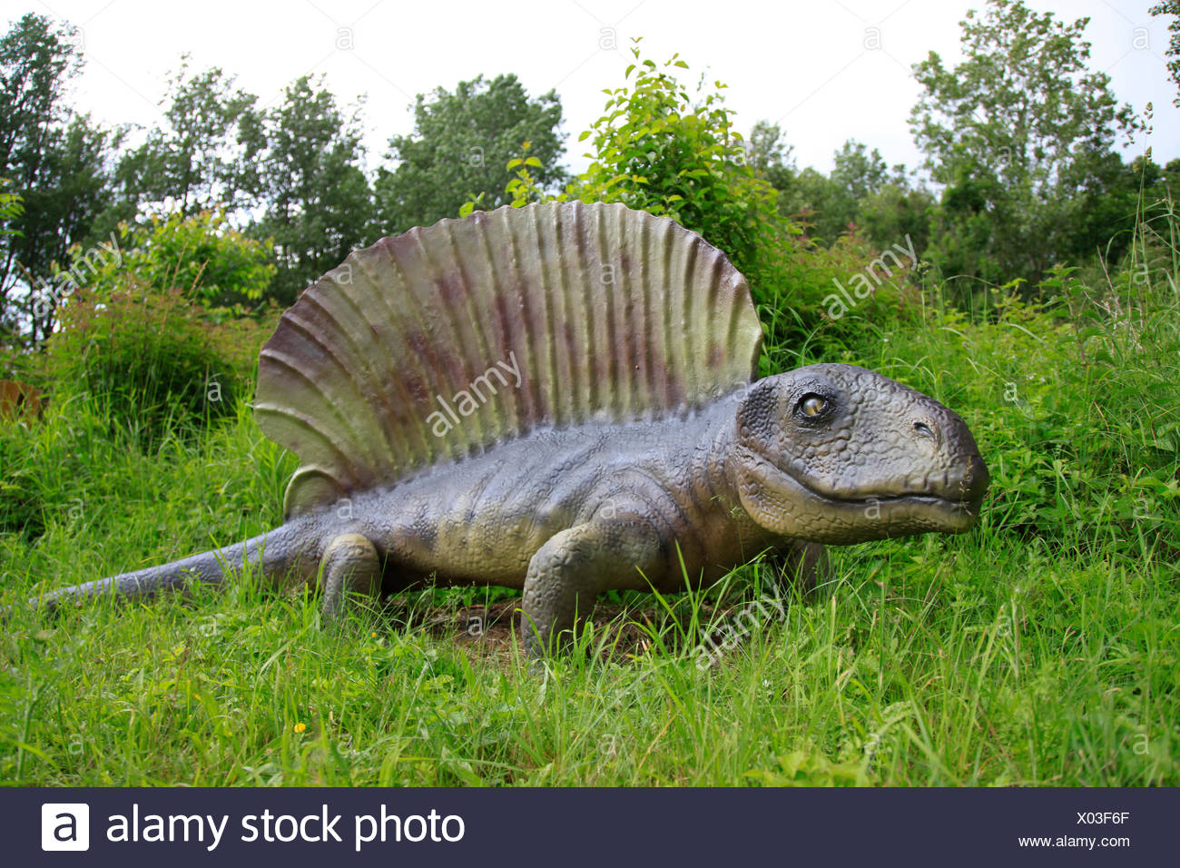 Edaphosaurus Edaphosaurus High Resolution Stock Photography and Images ...