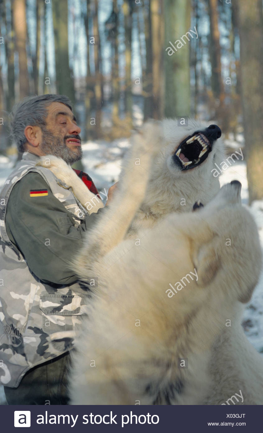 Scientist And Arctic Stock Photos & Scientist And Arctic Stock Images ...