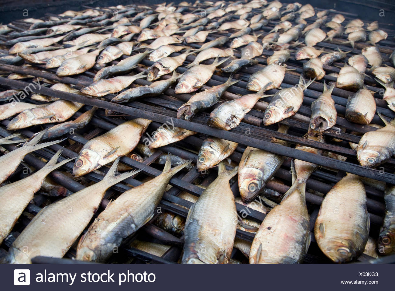 Liberia Fish High Resolution Stock Photography and Images - Alamy