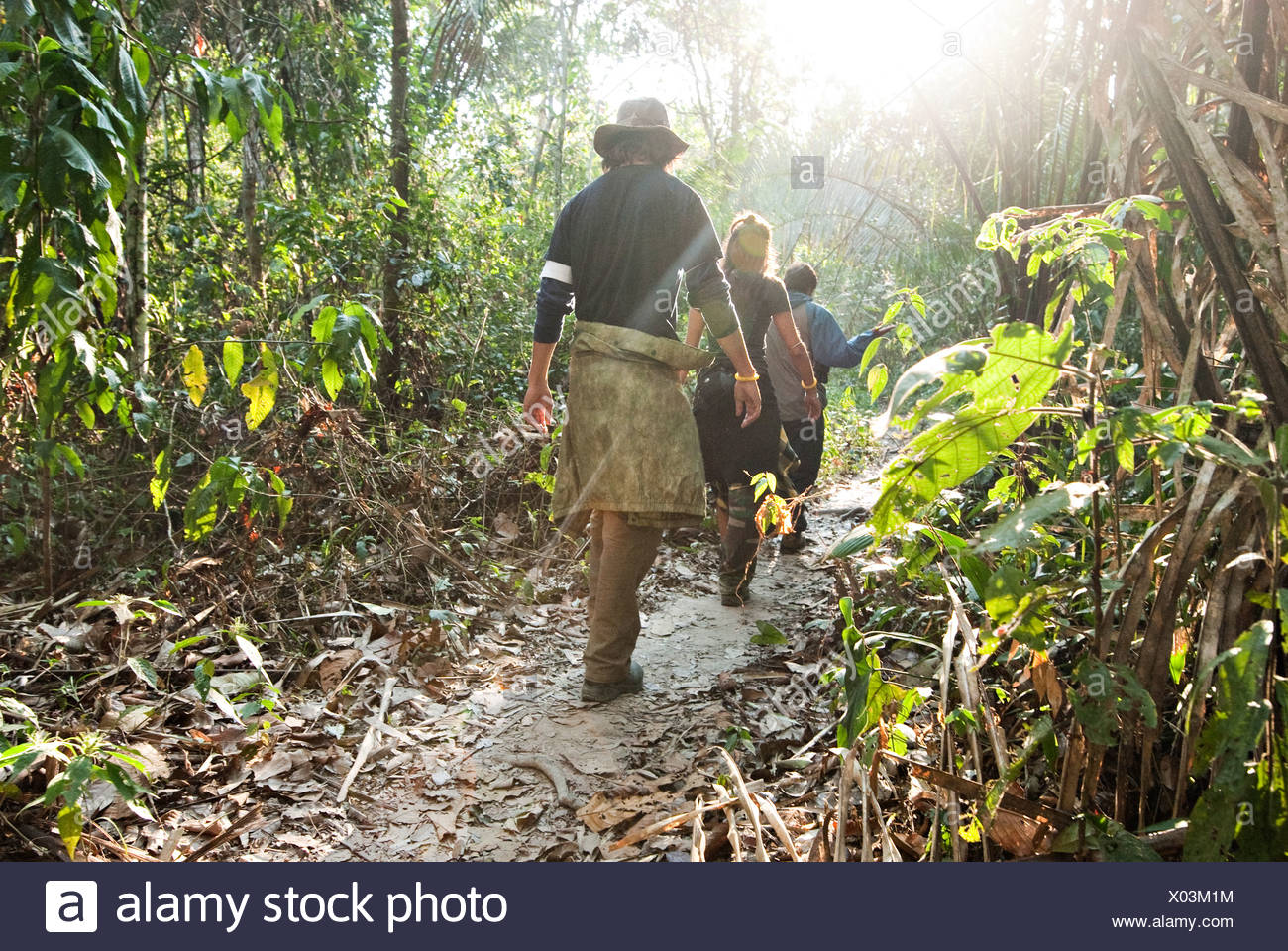 Rainforest High Resolution Stock Photography and Images - Alamy
