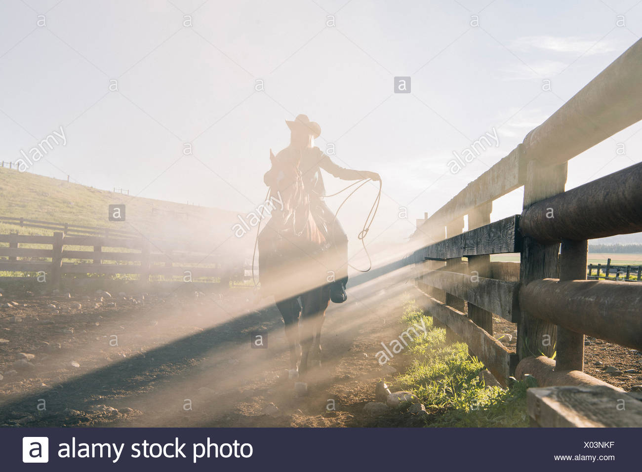 Cowboy Lasso Stock Photos & Cowboy Lasso Stock Images - Alamy