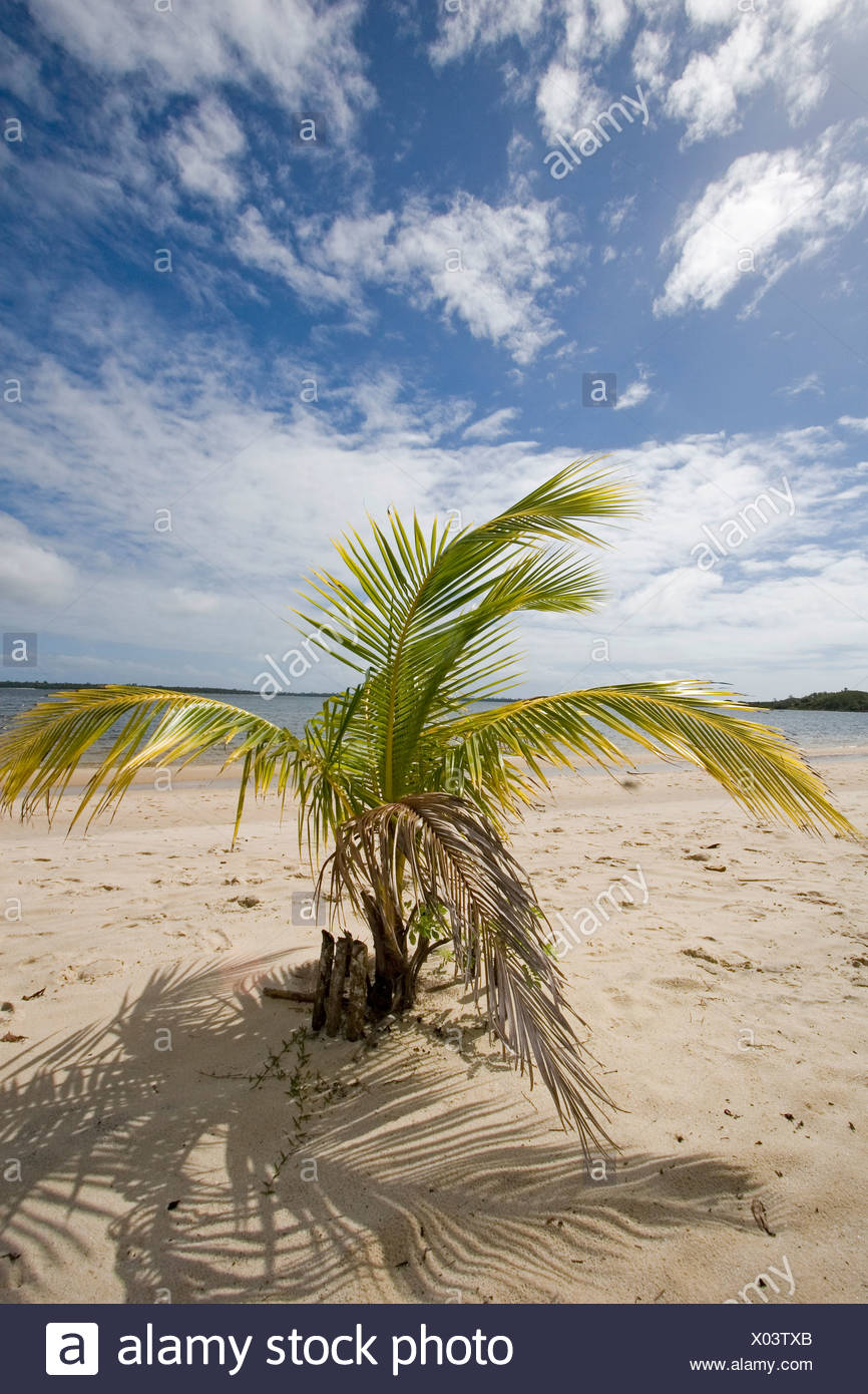 Manambato High Resolution Stock Photography and Images - Alamy