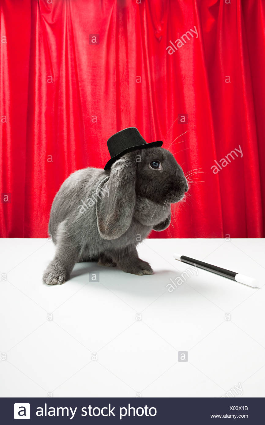 Gray Top Hat High Resolution Stock Photography and Images - Alamy