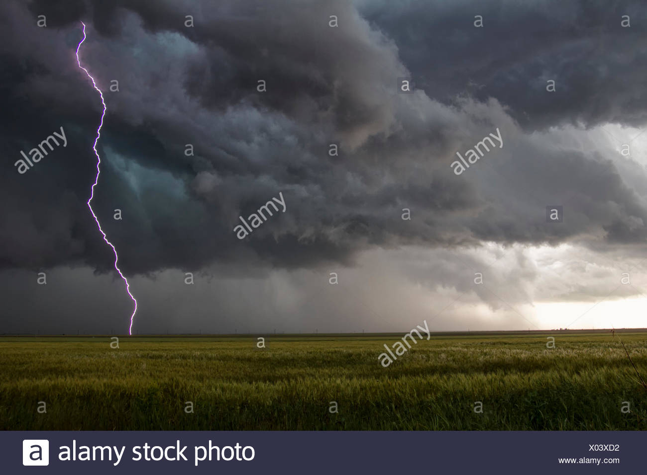 Green Lightning Stock Photos & Green Lightning Stock Images - Alamy