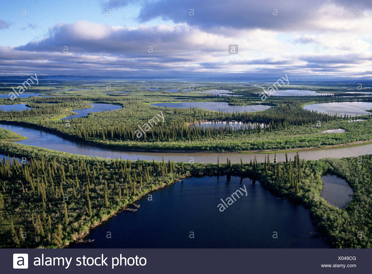 Mackenzie River Delta High Resolution Stock Photography and Images - Alamy