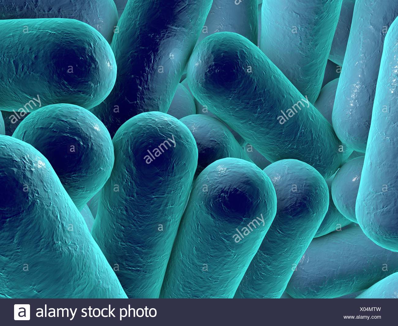 Citrobacter High Resolution Stock Photography and Images - Alamy