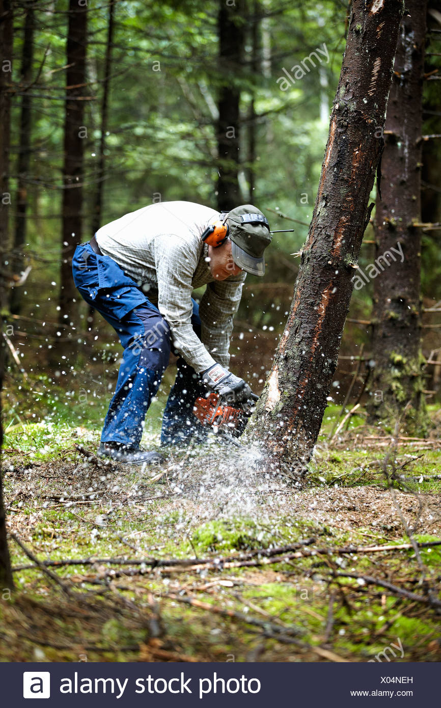 Cutting Trees High Resolution Stock Photography and Images - Alamy