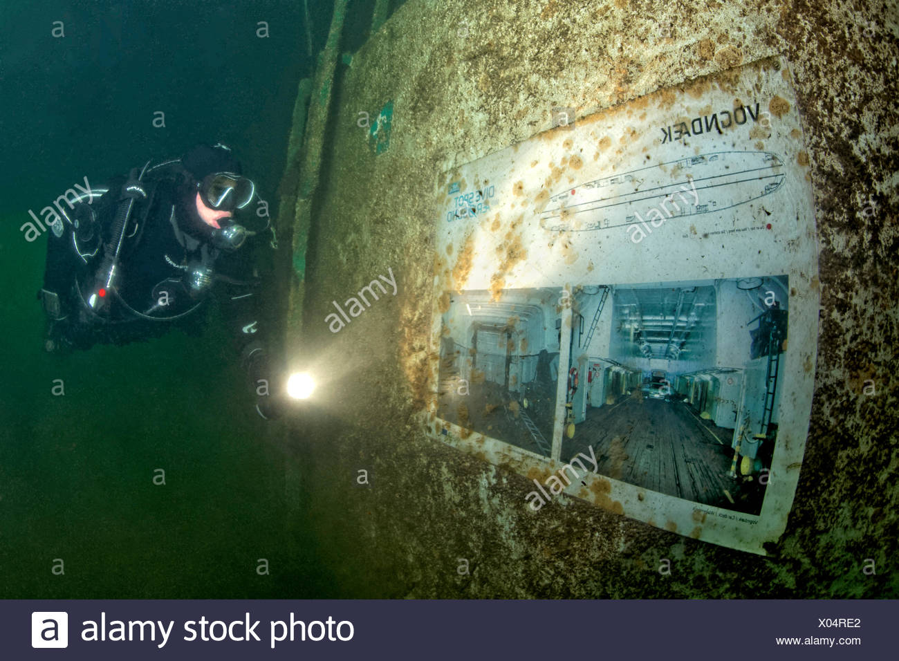 Car Diver High Resolution Stock Photography and Images - Alamy